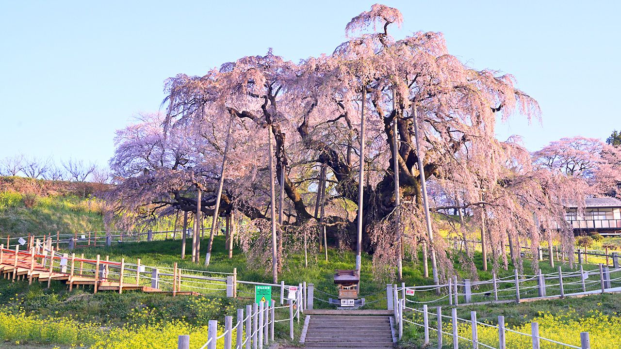 Fukushima Prefecture | Nippon.com