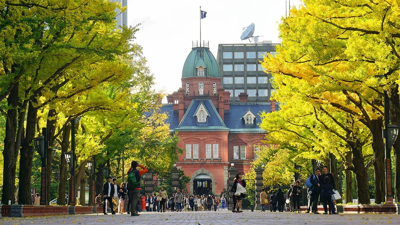 Autumn Reds And Yellows Japan s 2019 Foliage Forecast Nippon Autumn Reds And Yellows Japan s 2019 Foliage Forecast Nippon