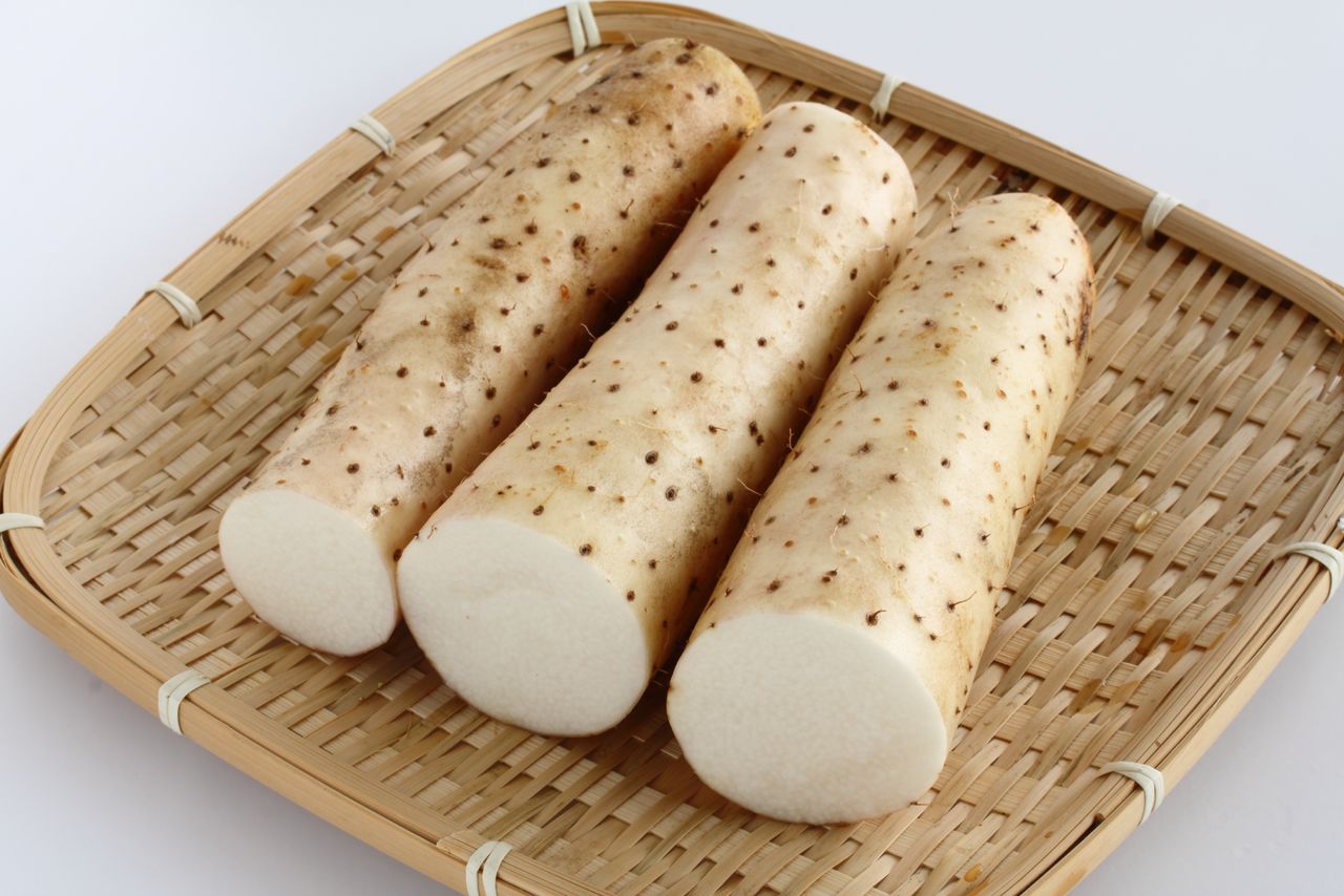 Yamaimo: Exceptional Tubers That Can Be Enjoyed Raw | Nippon.com