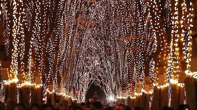 Winter Illumination Pageant in Sendai, Miyagi Prefecture | Nippon.com