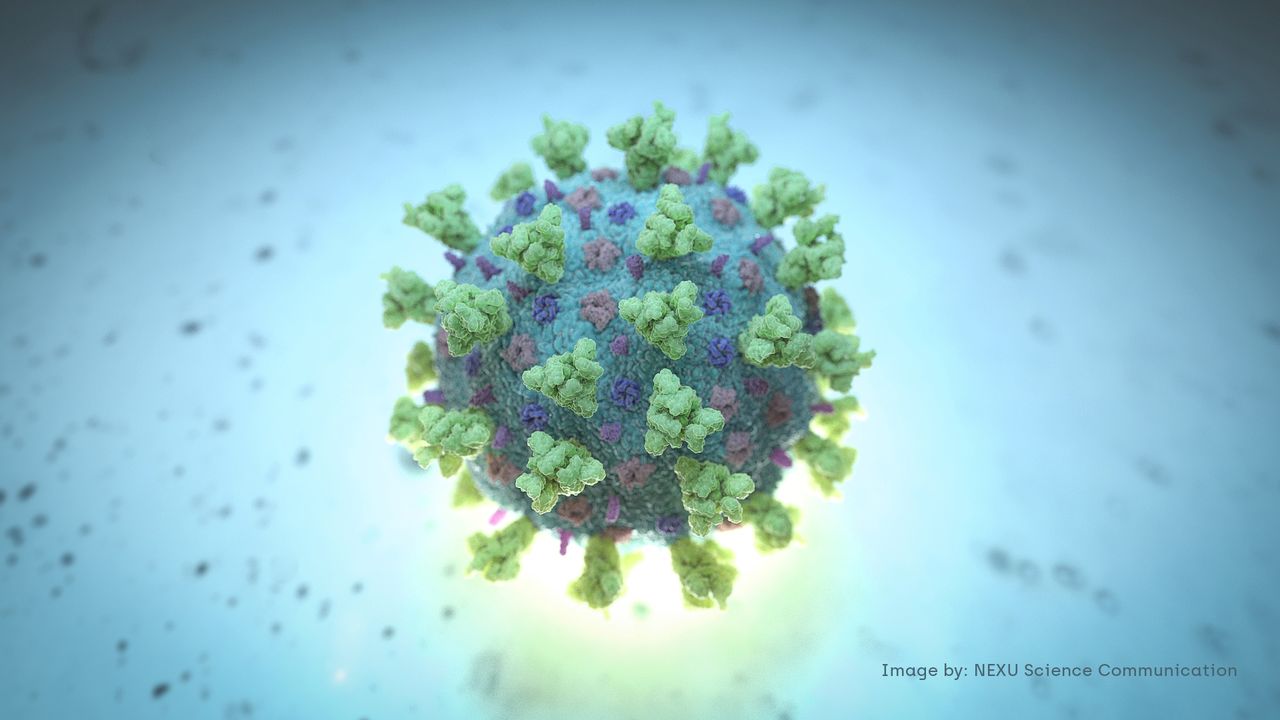 What you need to know about the coronavirus right now | Nippon.com