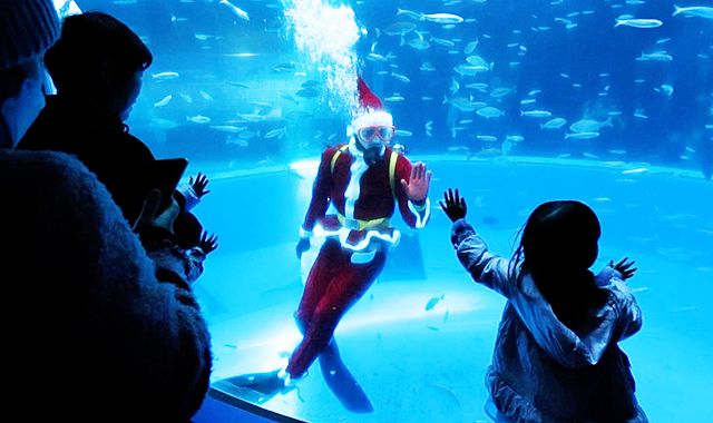 [Vidéo] Un père Noël en plongée dans un aquarium de Yokohama | Nippon ...